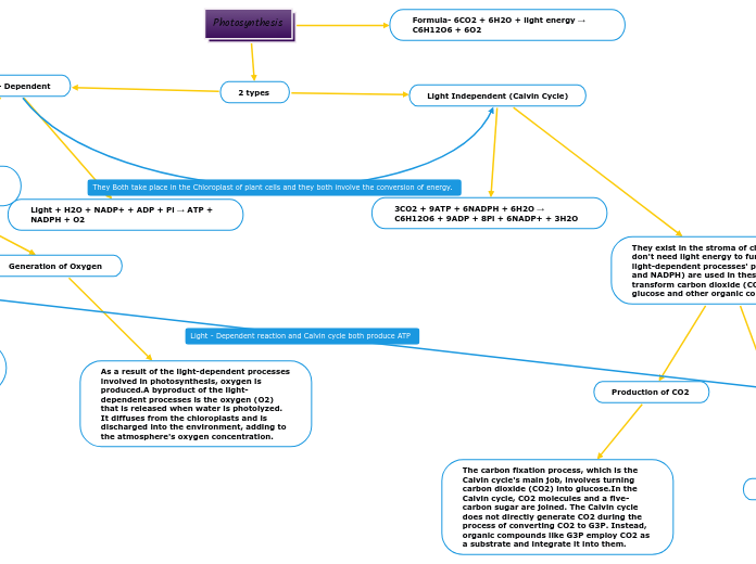 Photosynthesis - Mind Map
